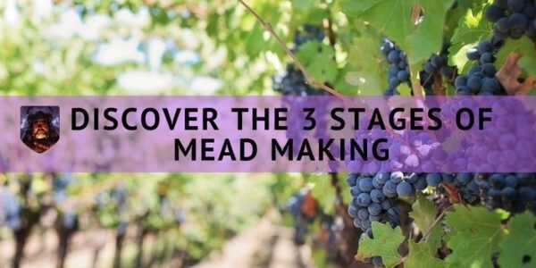 The 3 Stages of Mead Making Explained | Hidden Legend