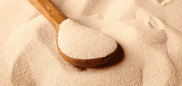 Best Yeast for Mead: Flavor, Sweetness & Strength Guide